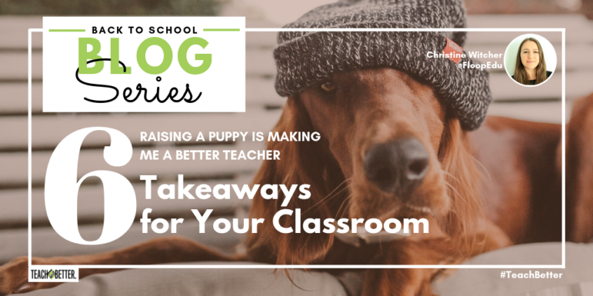 Raising a Puppy is Making Me a Better Teacher: 6 Takeaways for Your ...