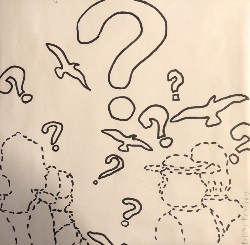 Using Differentiated Instruction to Teach a Novel - Teach Better