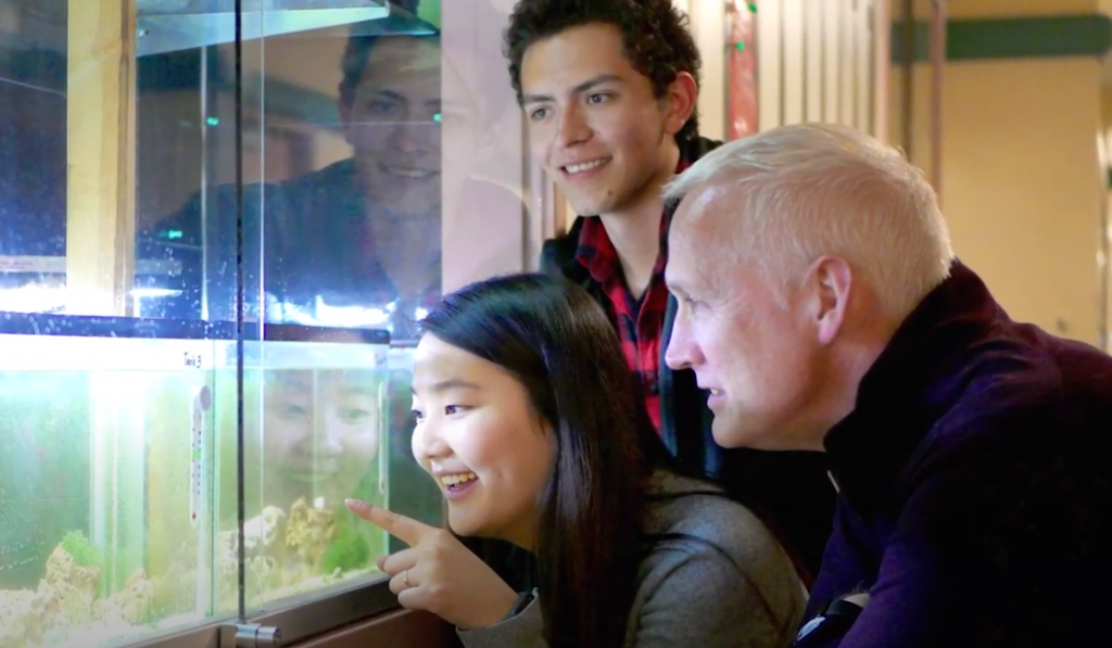 Above & Beyond: Making an Impact - Teach Better